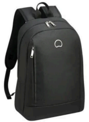 Delsey - Aerien Backpack – Primer Collective